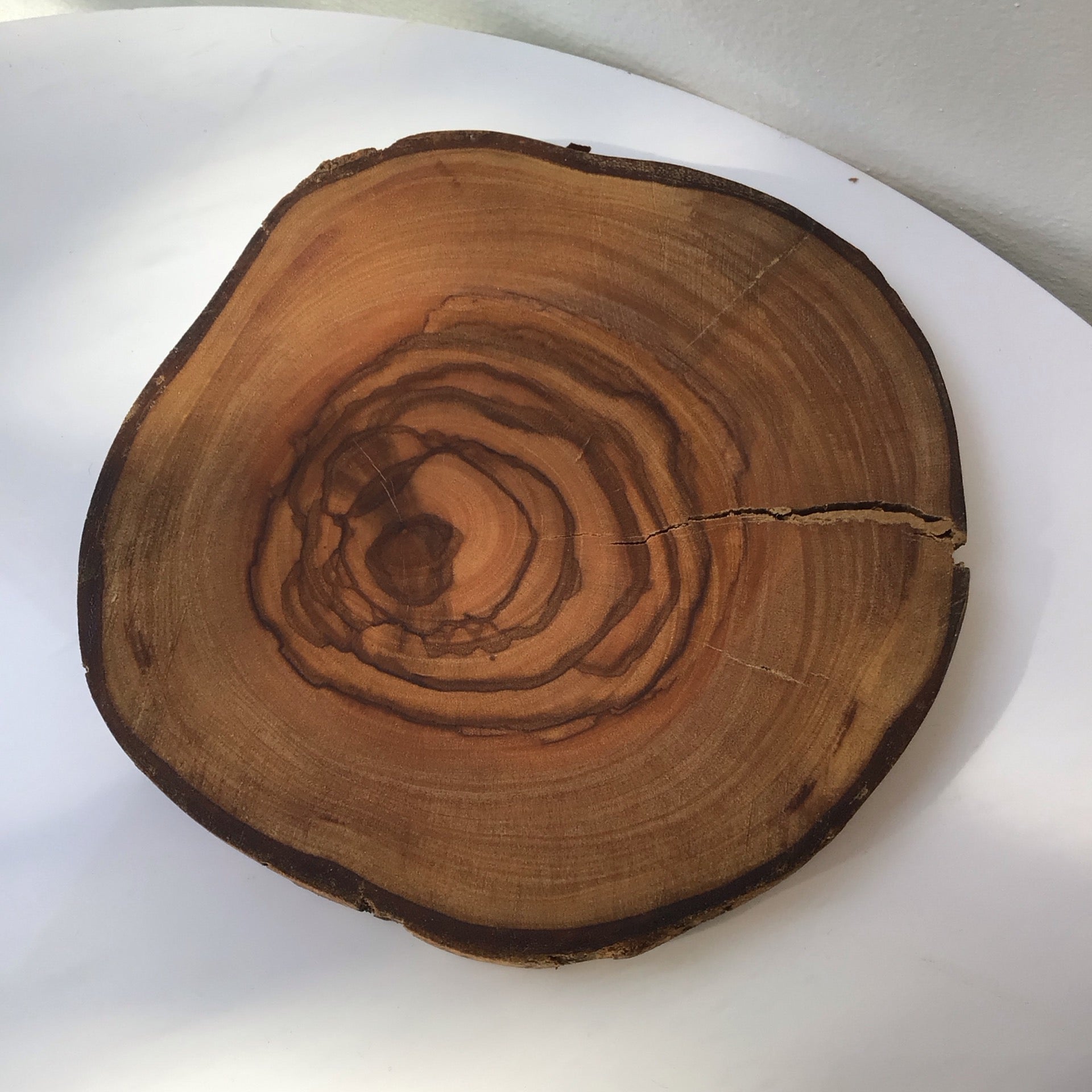 Live Edge Wood Drink Coaster – Handmade Wood Coaster – Willow Rust